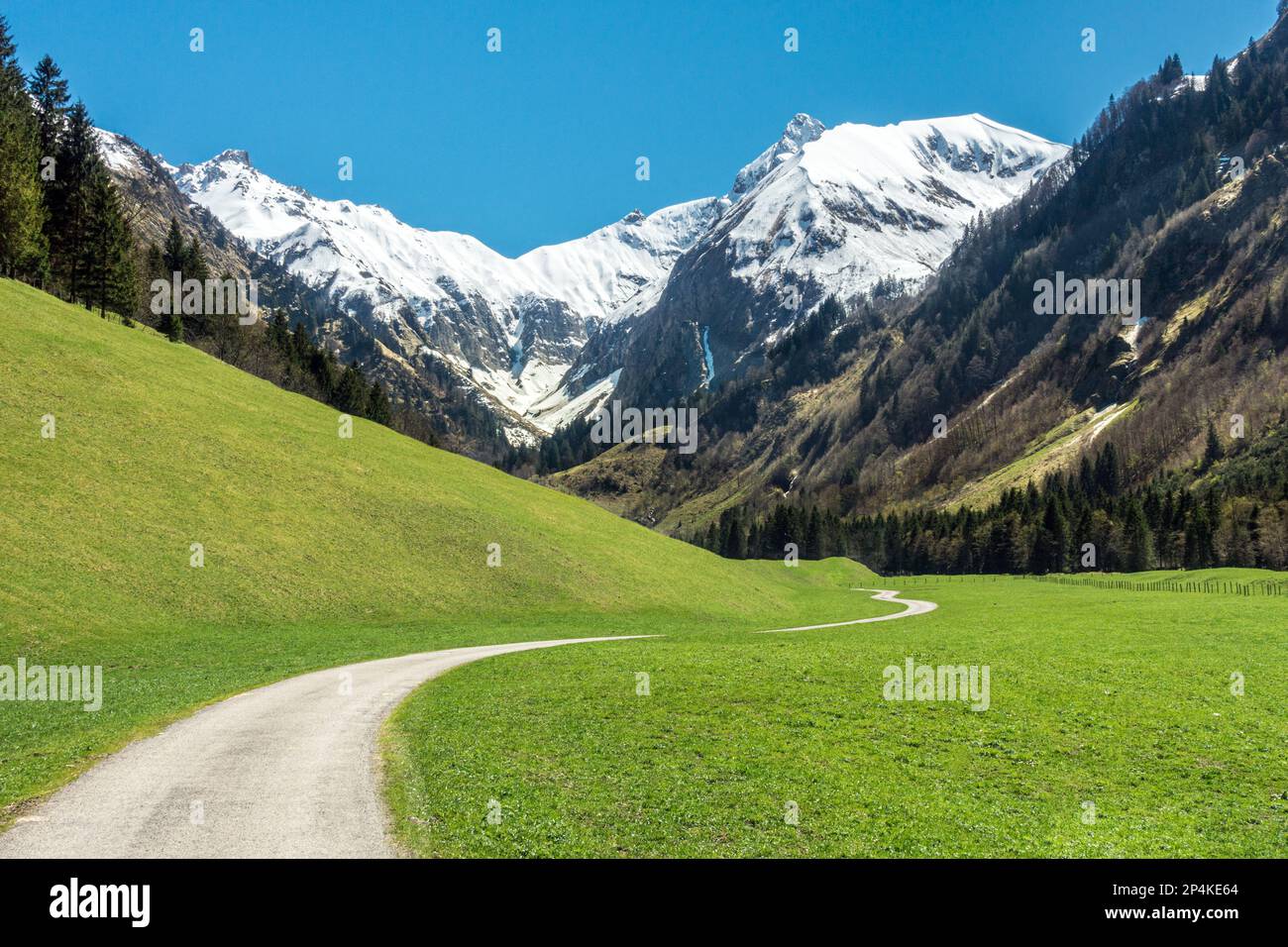 Amazing landscape with snow capped mountains, green grass meadows and ...