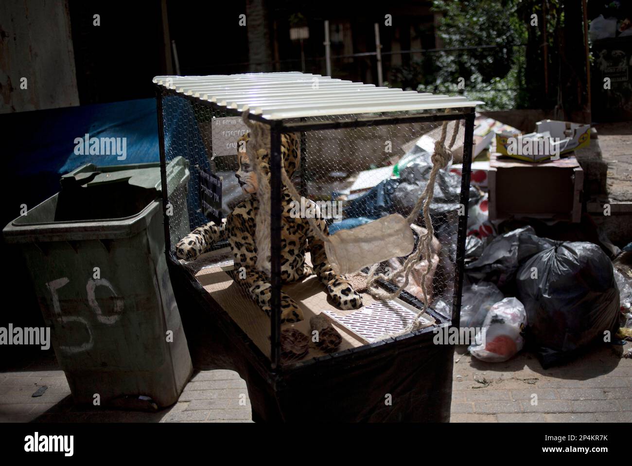 An ultra-Orthodox Jewish girl wearing a costume, sits in a cage ...