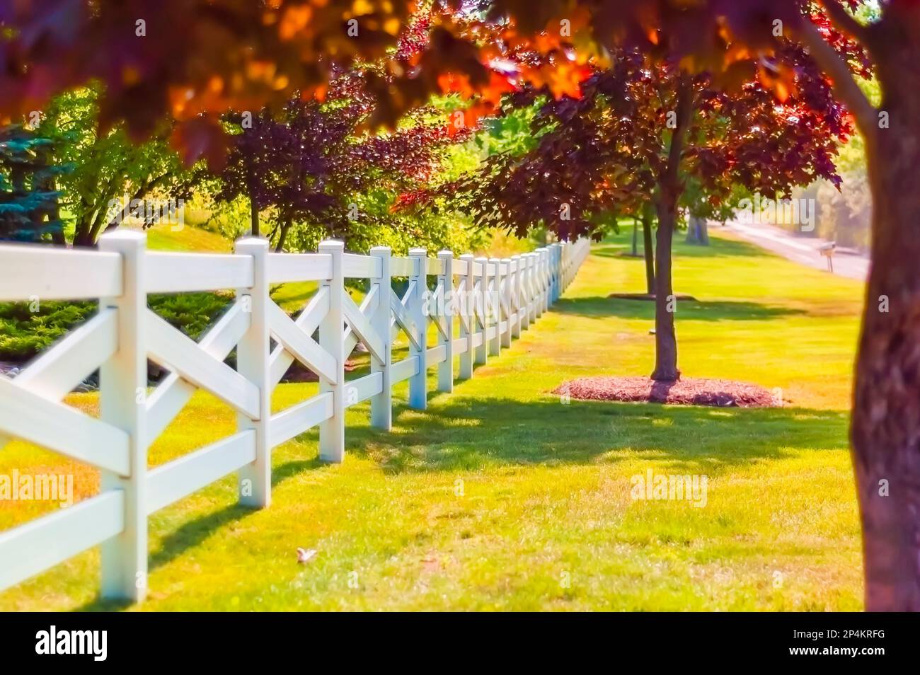 A crossbuck / cross buck style fence around the perimeter of a property ...
