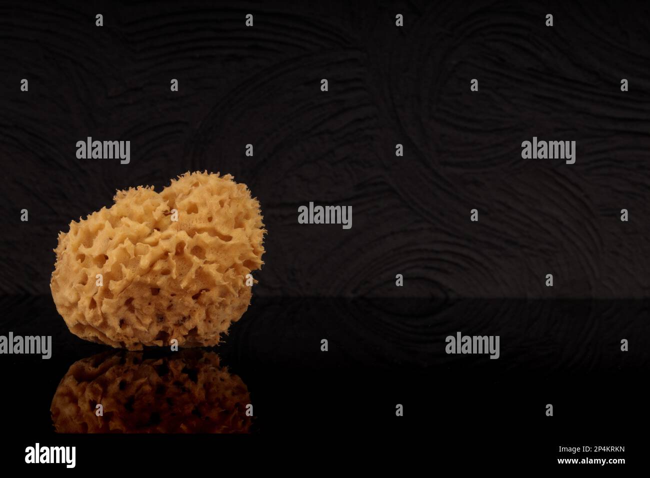 Yellow body wash sponge with black background, organic product Stock ...