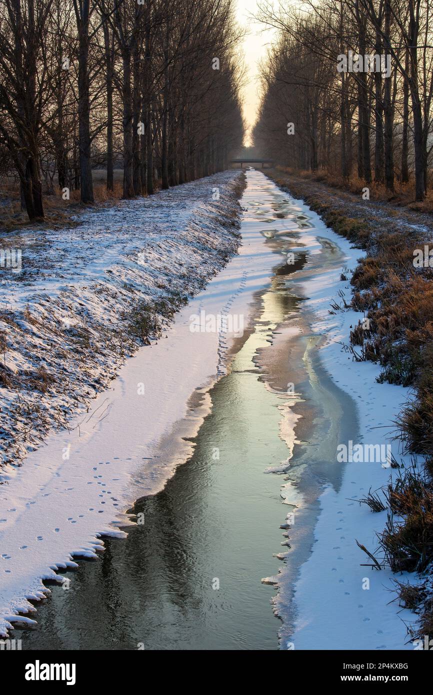 Winter Wonderland: Frozen River Surrounded by Majestic Trees Stock ...