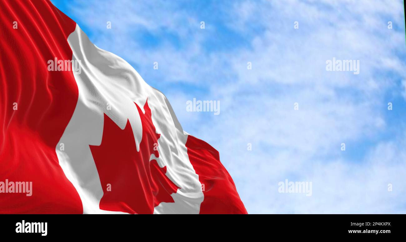 Canada national flag waving in the wind on a clear day. White square in ...