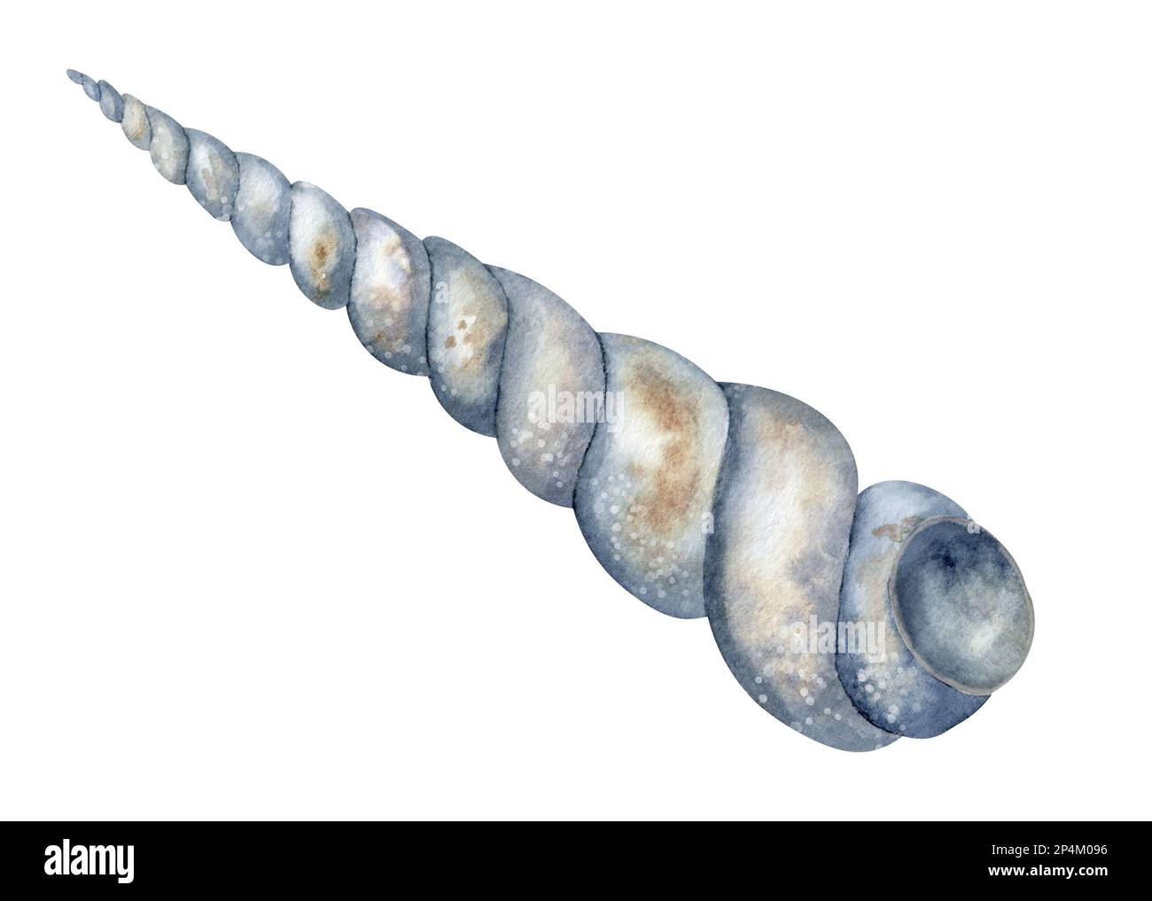 Spiral Shell Outline