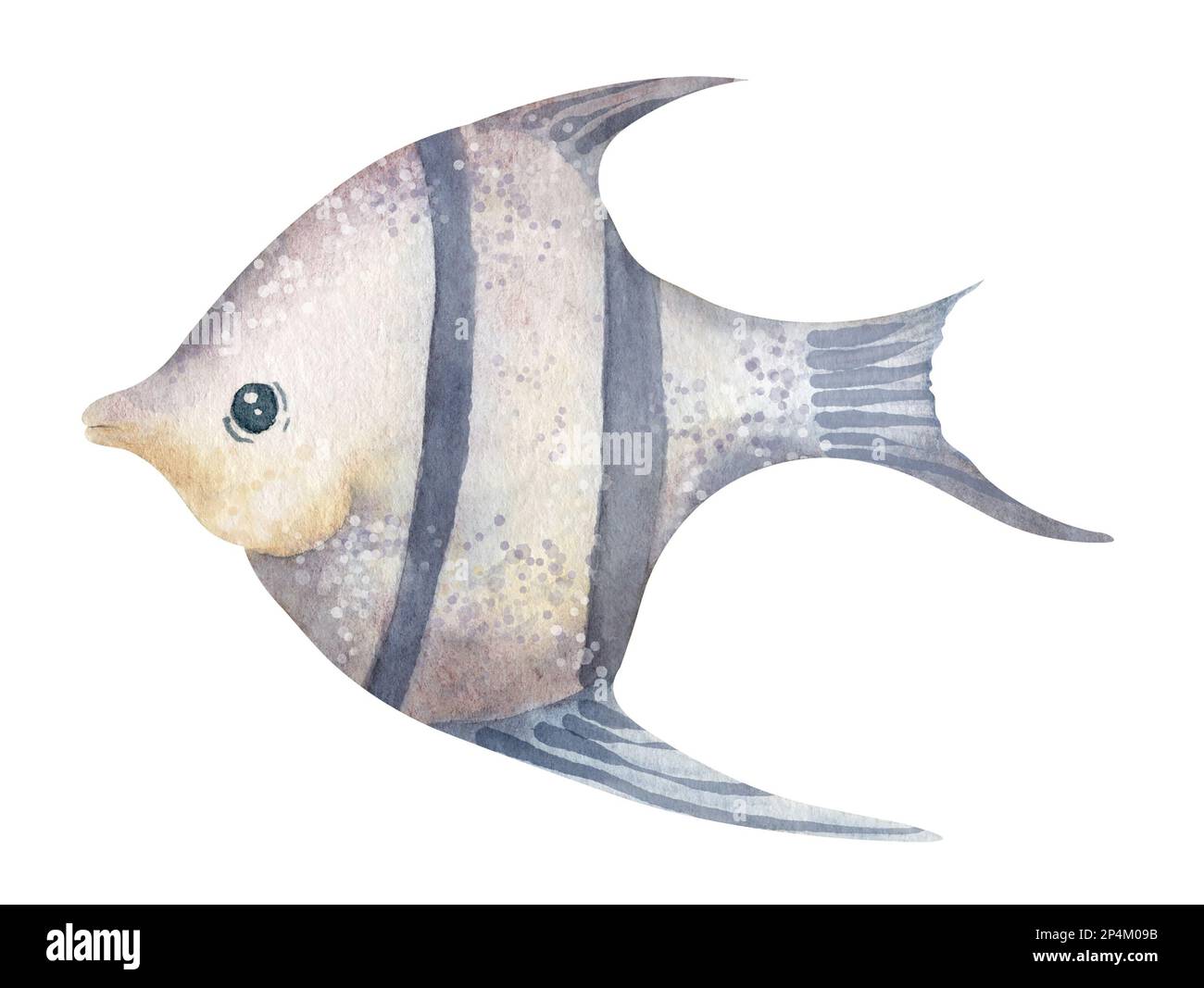 Watercolor illustration of Angelfish. Hand drawn drawing if angel Fish ...