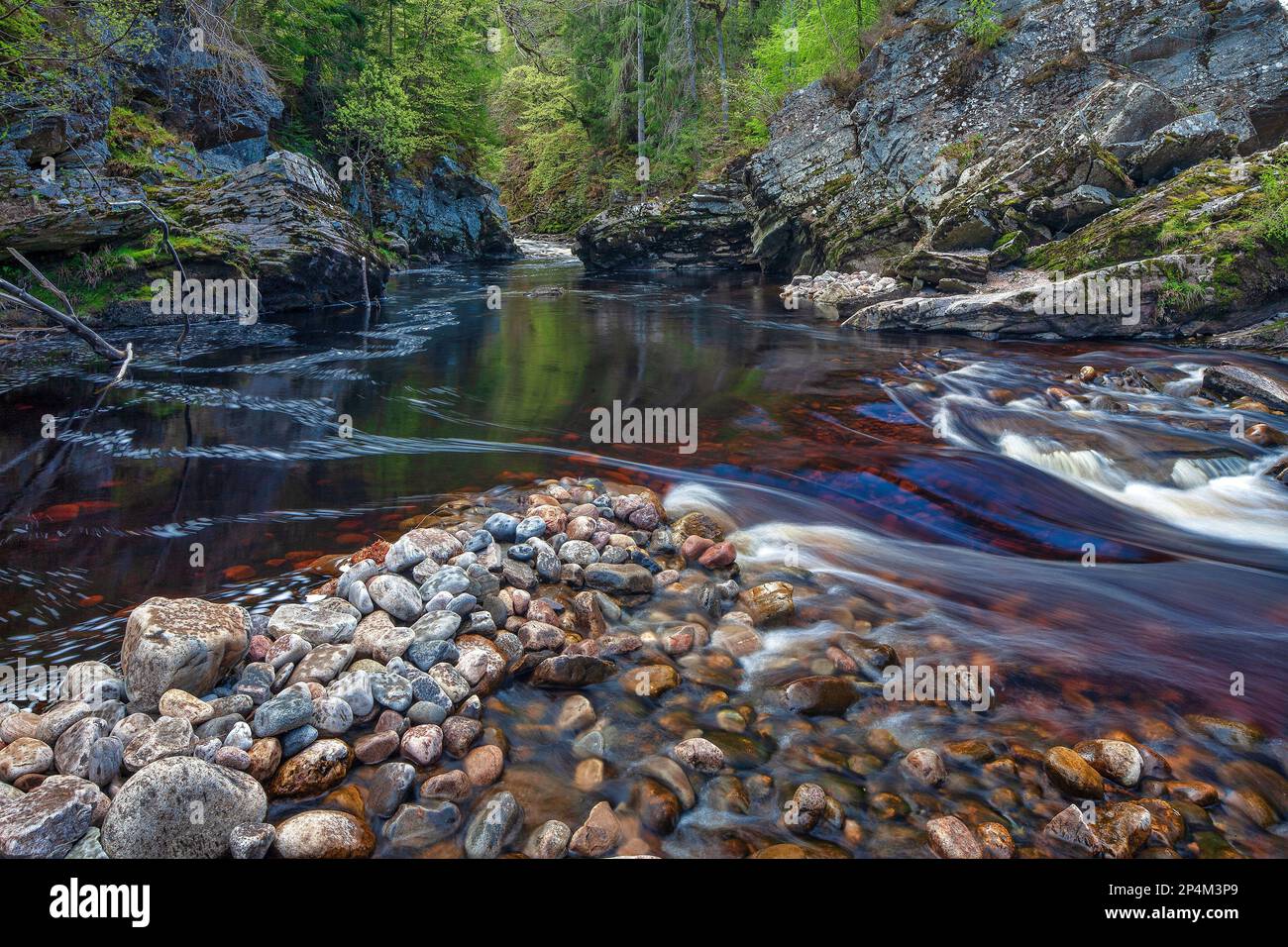 Summer view of Randolph's Leap on the river findhorn in moray, scotland ...