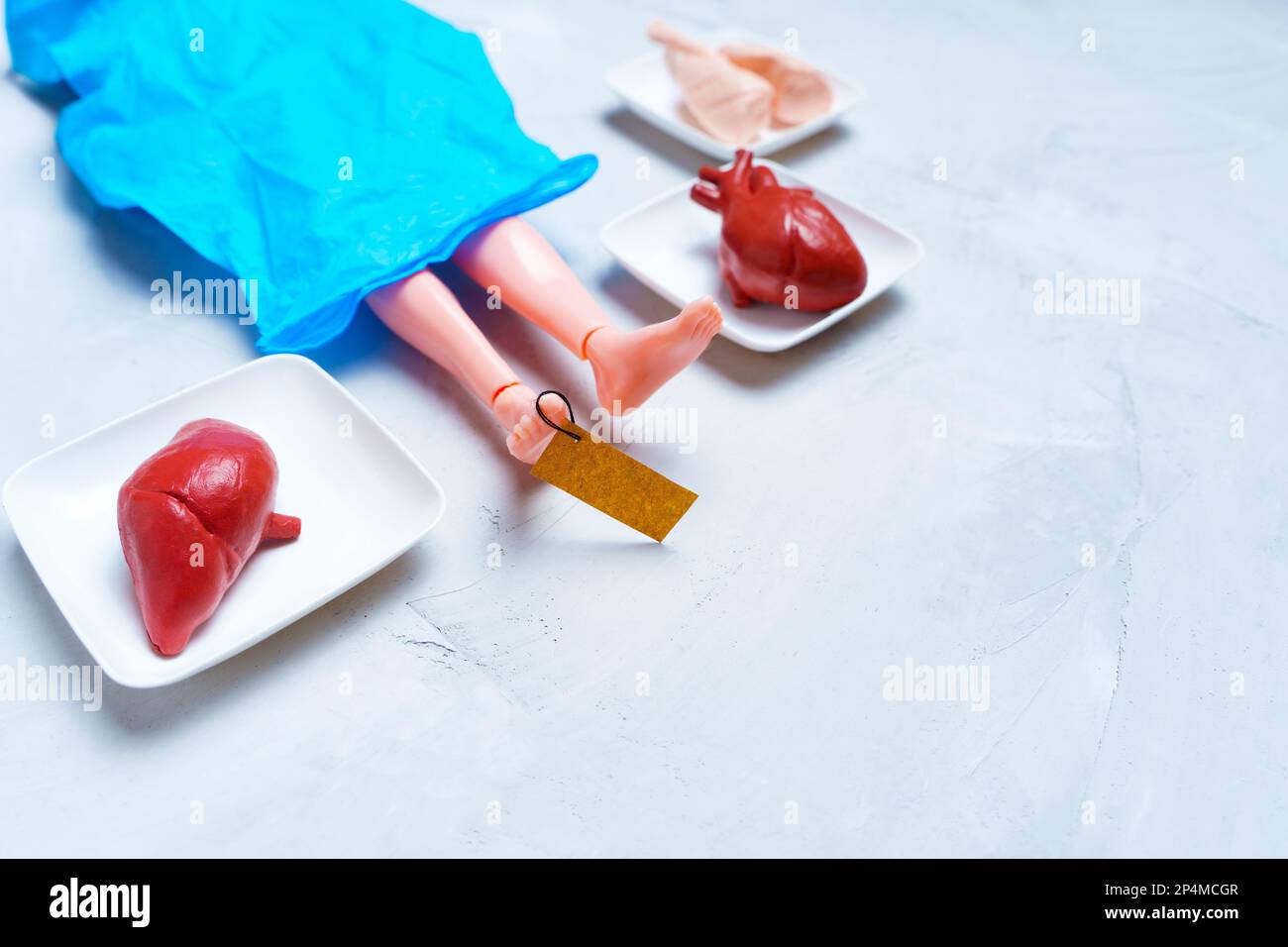 Post mortem examination hi-res stock photography and images - Alamy