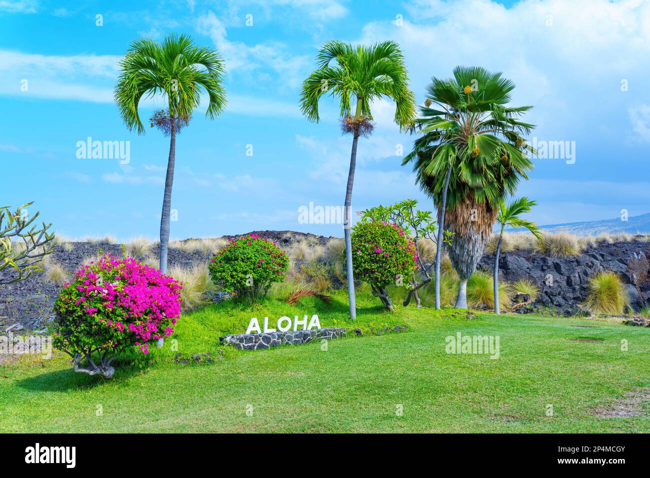 10. Aloha sign set amongst a picturesque garden oasis, complete with ...