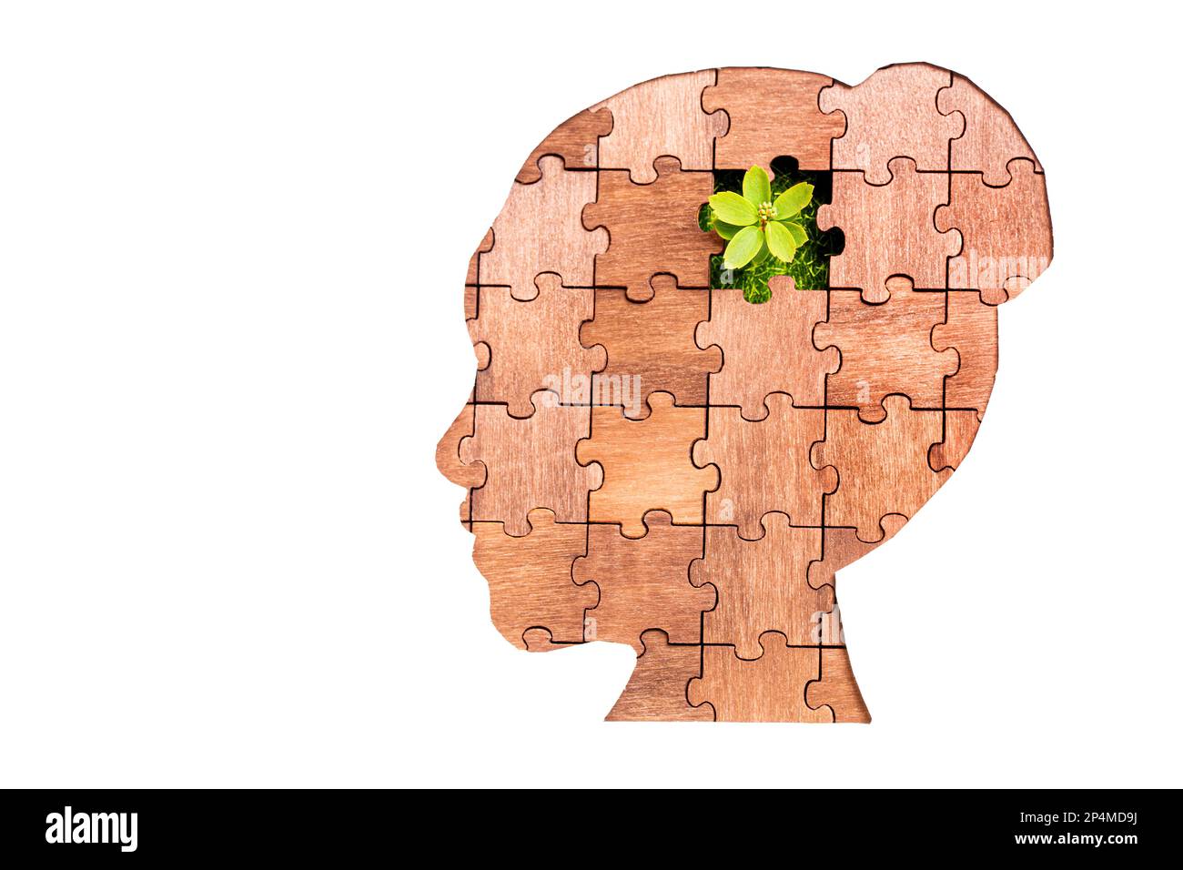 Young plant seen through the missing piece of a female head jigsaw ...