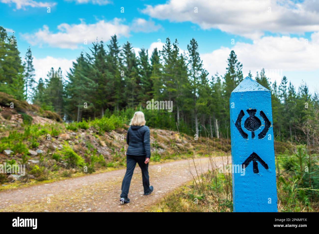 Sign for the Great Glen Way at Abriachan Forest walk near Drumnadrochit ...