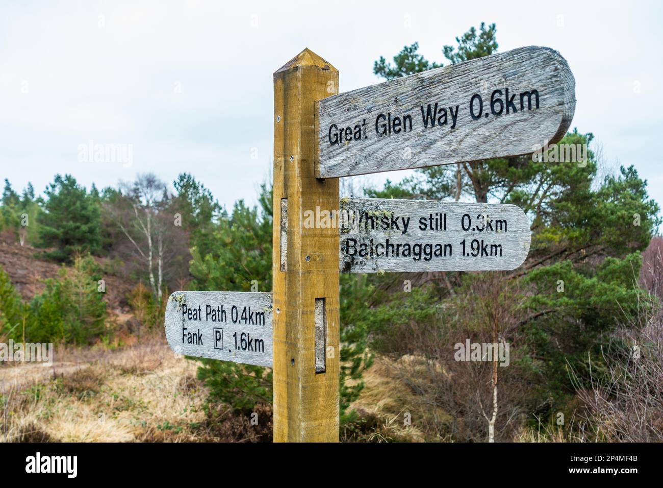 Waymarker sign posts on the Abriachan Forest Trails near Drumnadrochit ...