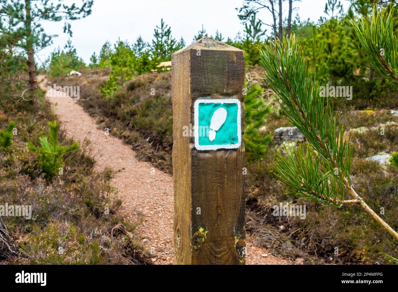 Path marker post sign at Abriachan Forest walk near Drumnadrochit in ...