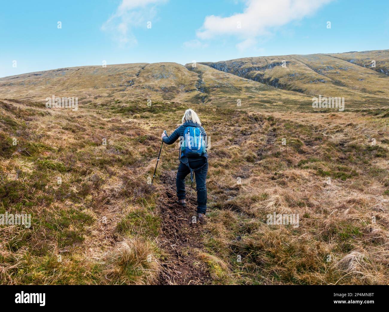 A walker on the steep boggy path up the scottish Munro mountain of ...