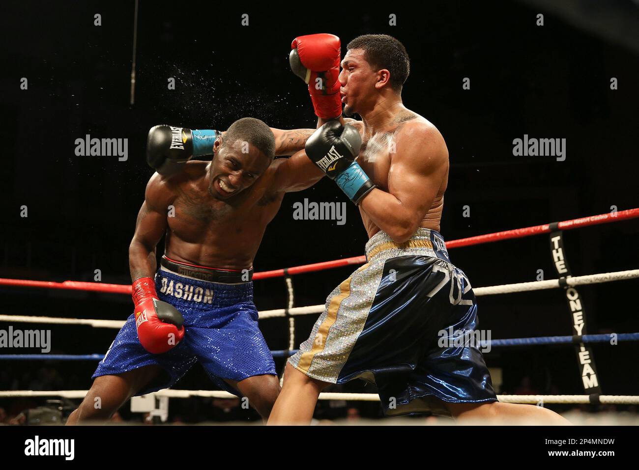 Shobox the next generation hi-res stock photography and images - Alamy