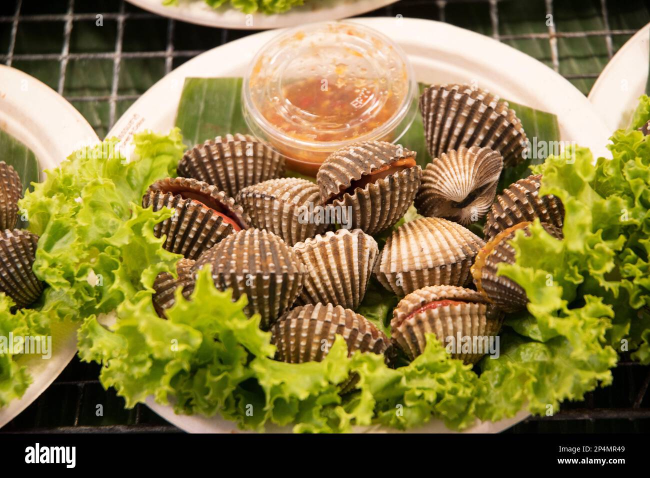 Cockle for sale at street market in Bangkok Stock Photo - Alamy