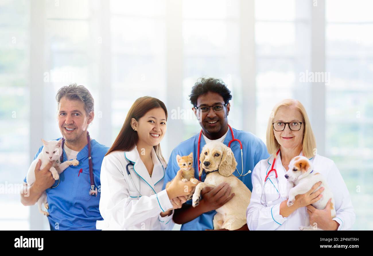 Vet team hi-res stock photography and images - Alamy
