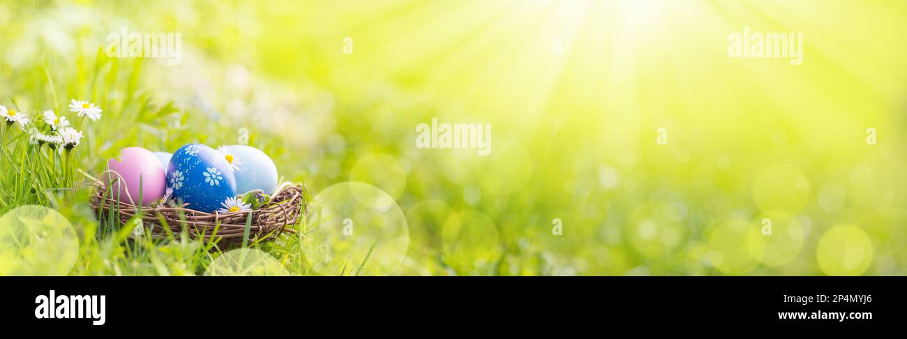 Nest with Easter eggs in grass on a sunny spring day - Easter ...