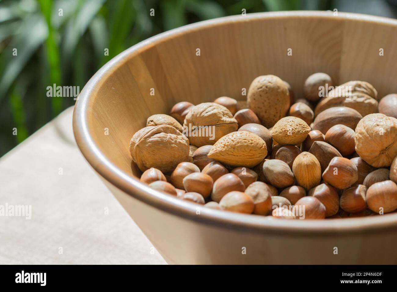 Assorted various nuts in a big wooden bowl against a leafy green ...