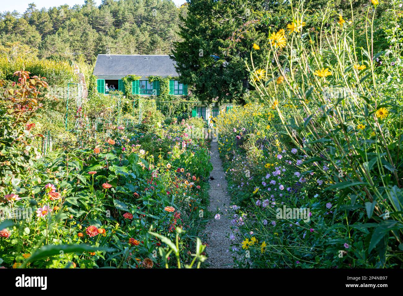 the flowers and plants in the gardens of monet in france Stock Photo ...