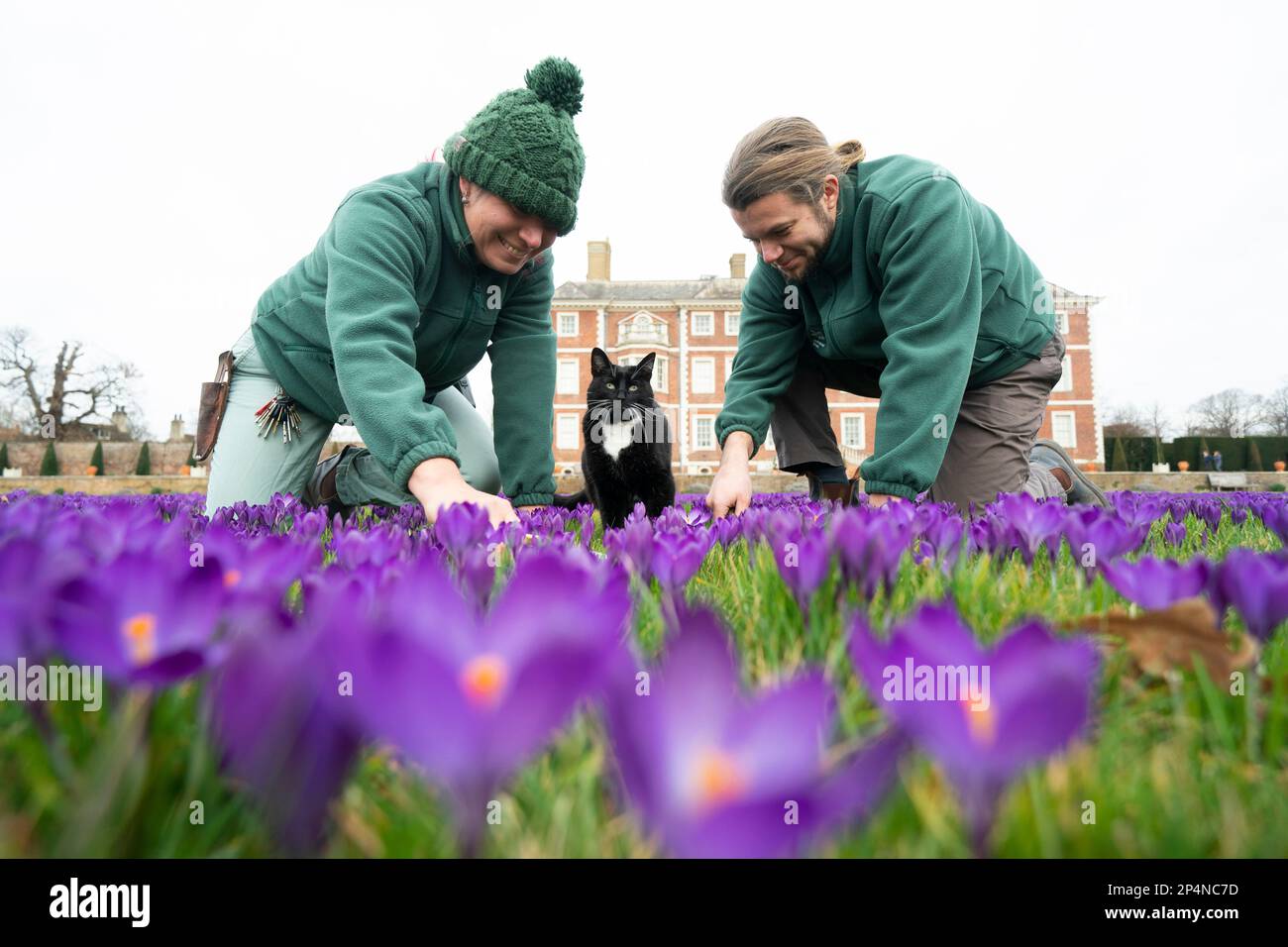 Gardeners Janette Slack-Smith (left) and Josh Woodhams, with the help ...