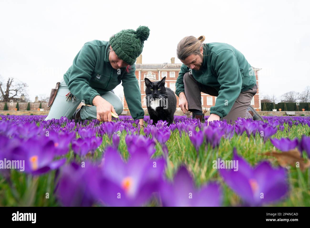 Gardeners Janette Slack-Smith (left) and Josh Woodhams, with the help ...