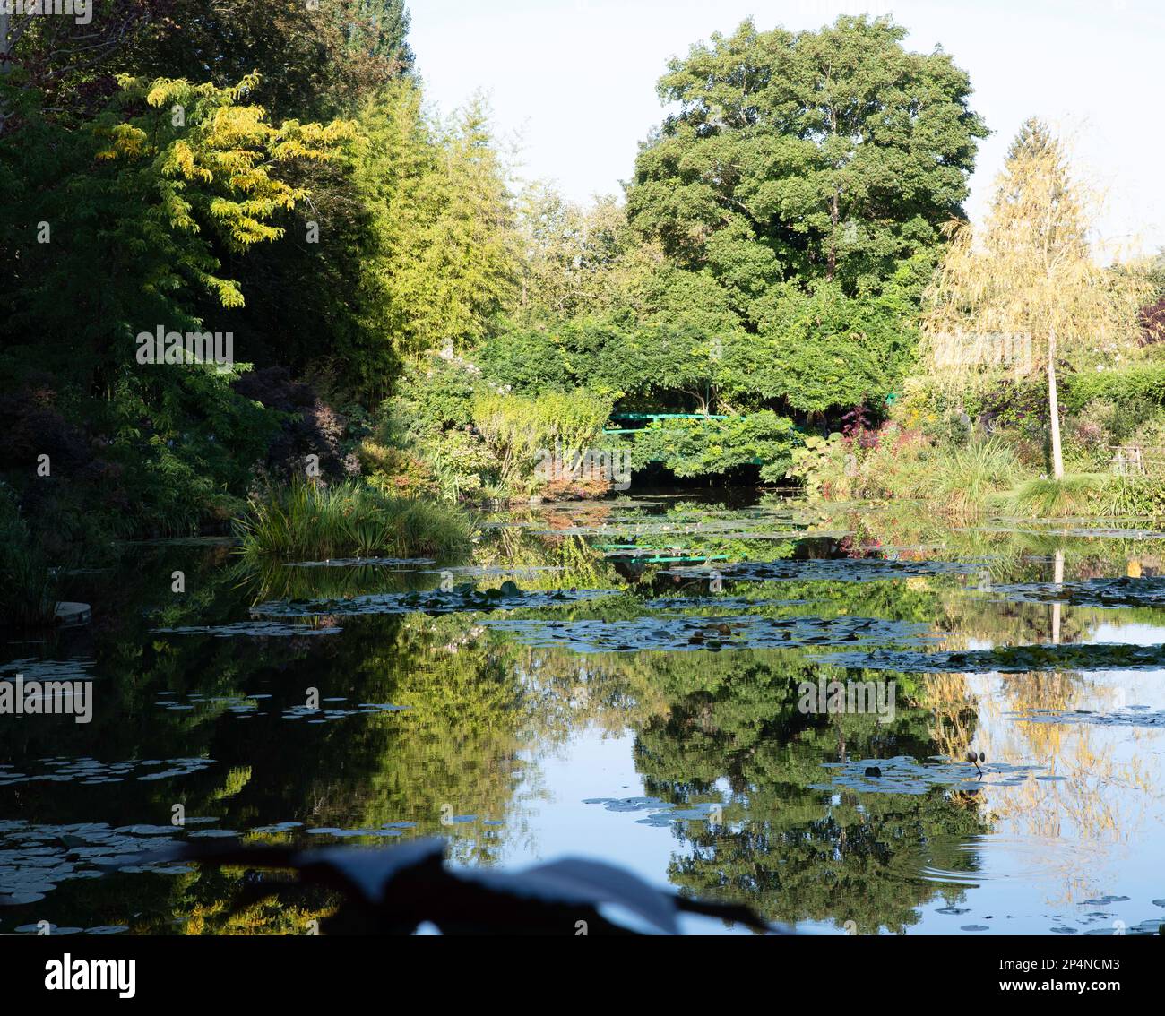 the flowers and plants in the gardens of monet in france Stock Photo ...