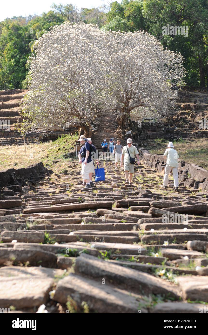 Laos: The historic Khmer temples ruins and ornaments of What Phou at ...