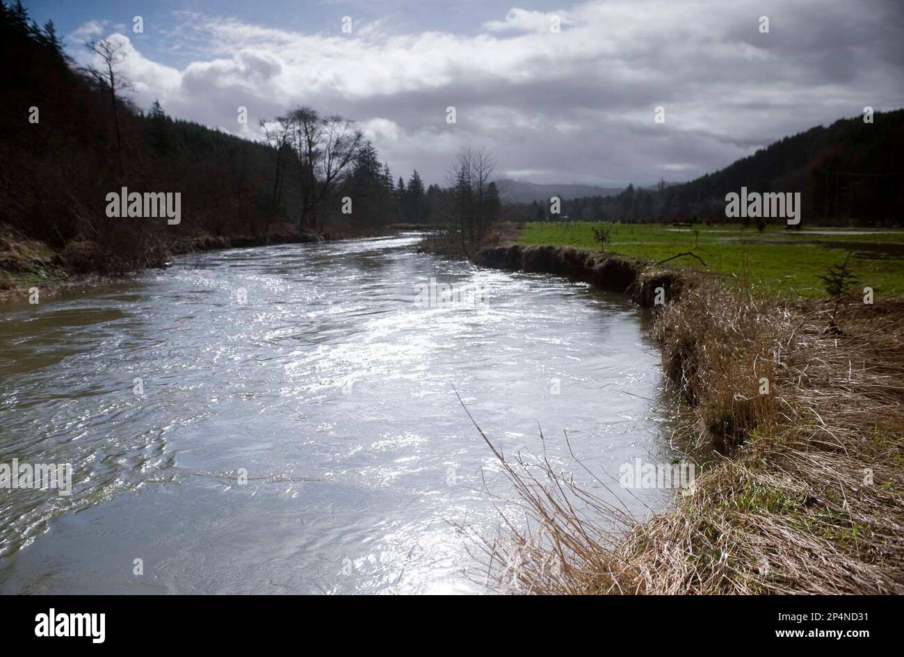 In this Wednesday, Feb. 19, 2014, photo, the Necanicum River flows ...