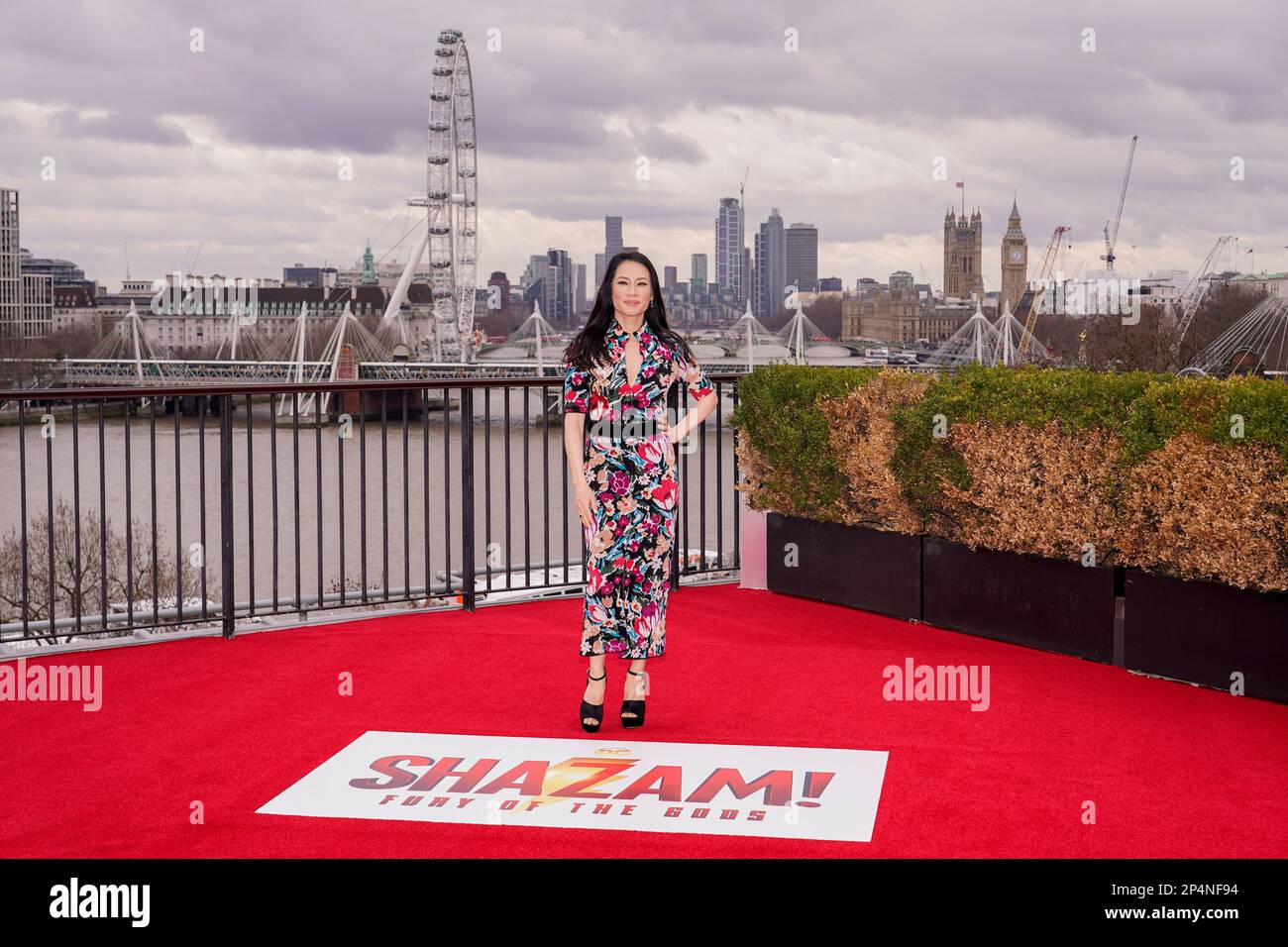 Lucy Liu poses for photographers during a photo call for the film ...