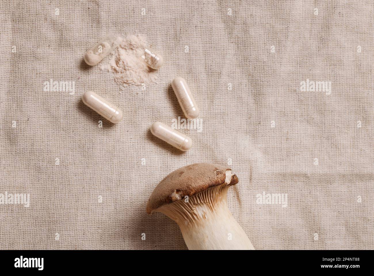 mushrooms and natural herbal pills on textile gray background ...