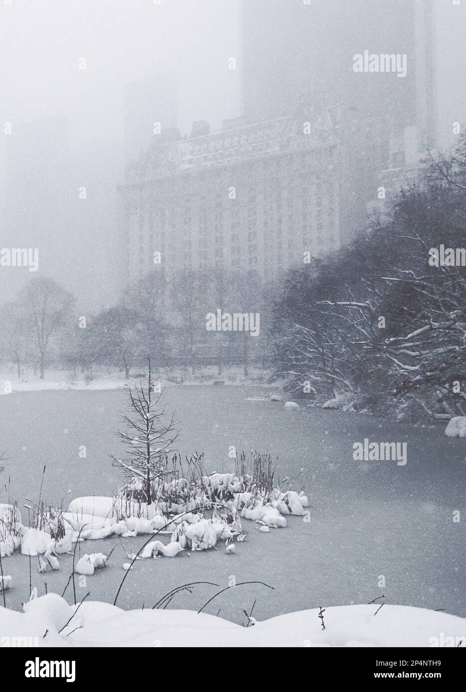 Central Park New York frozen lake during a winter snowstorm. Misty snow ...