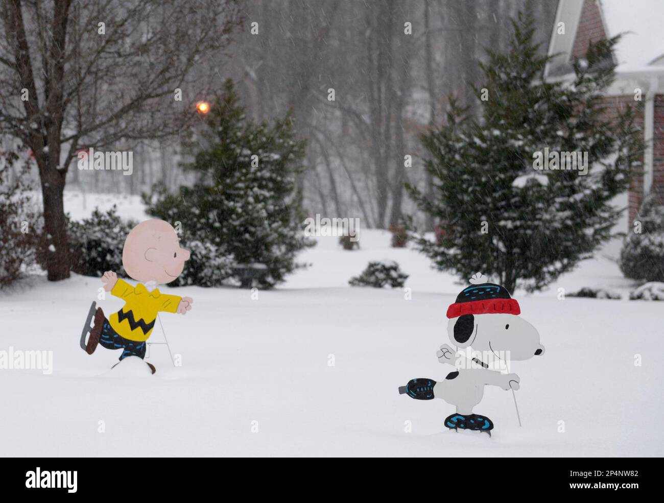 Charlie Brown skates after Snoopy across the front lawn of Ted Kress in ...