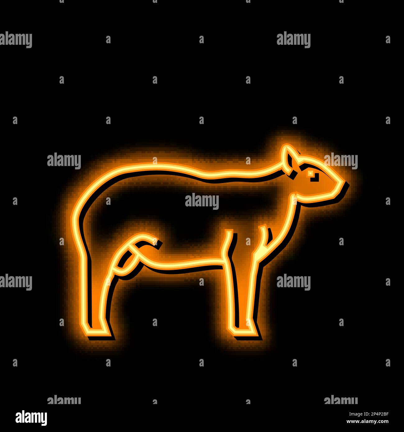 dorper sheep neon glow icon illustration Stock Vector Image & Art - Alamy