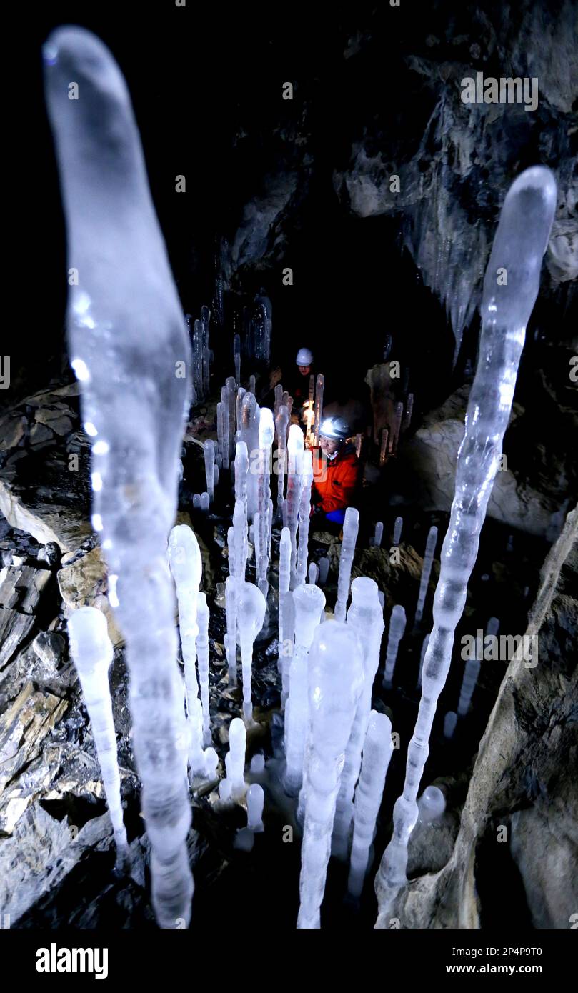 A photo shows ice stalagmites seen at Uchimakido cave in Kuji, Iwate ...