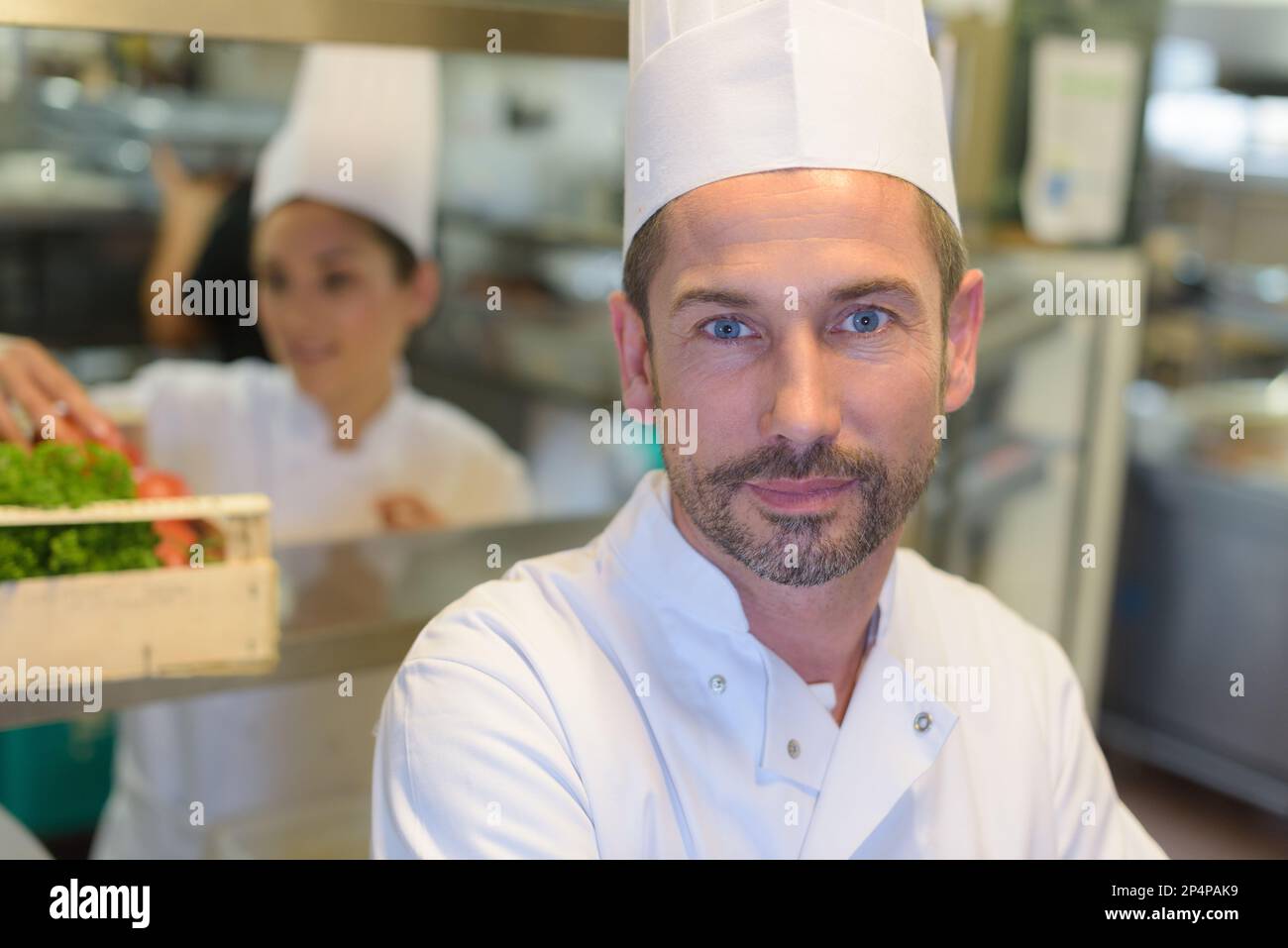 portrait of a male chef posing Stock Photo - Alamy