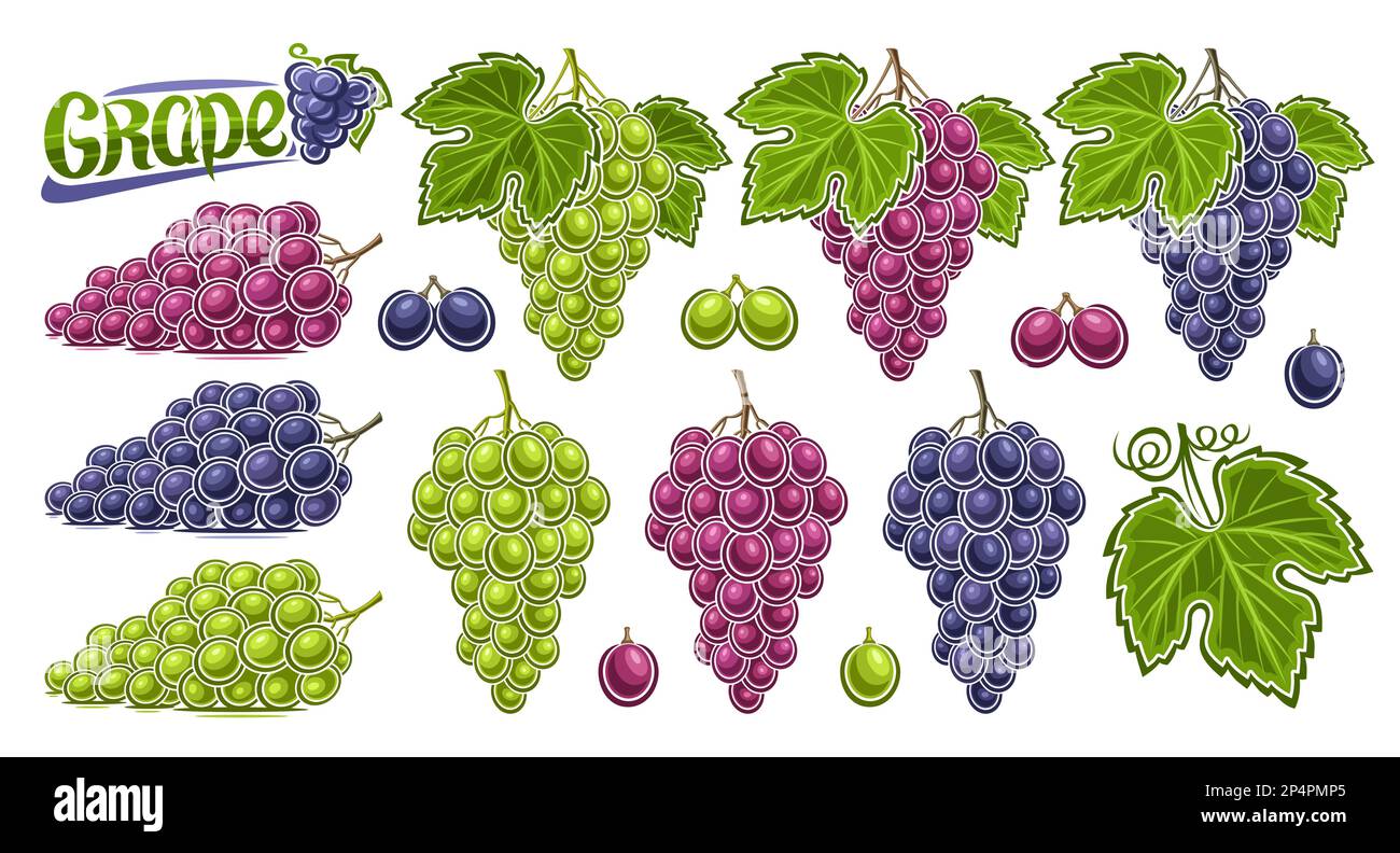 Grapes Fruit Lot at Nathan Oneill blog