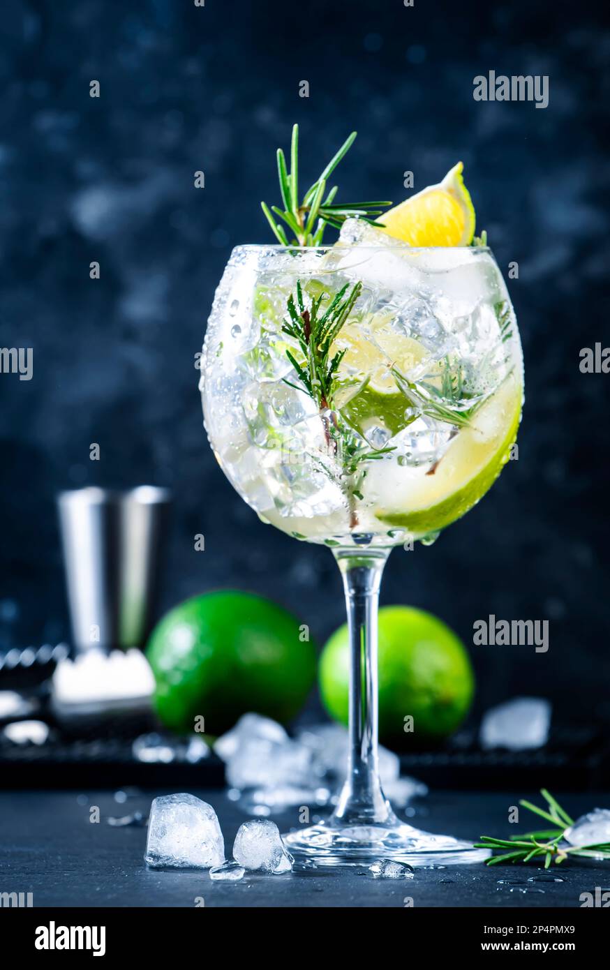 Gin tonic alcoholic cocktail drink with dry gin, rosemary, tonic, lime ...