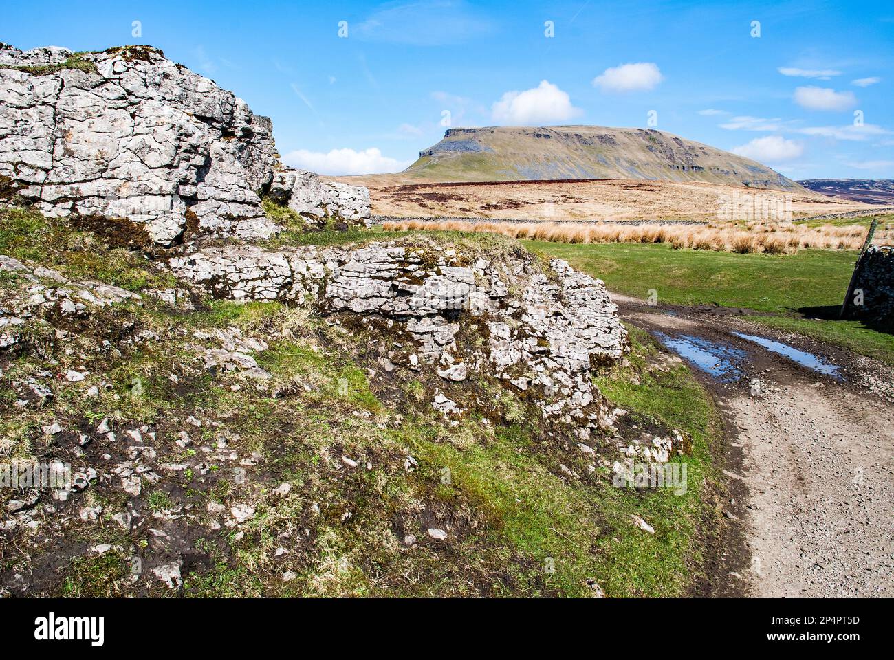 Pen-y-Ghent as seen from the flatter ground towards Dalehead. Mainly ...