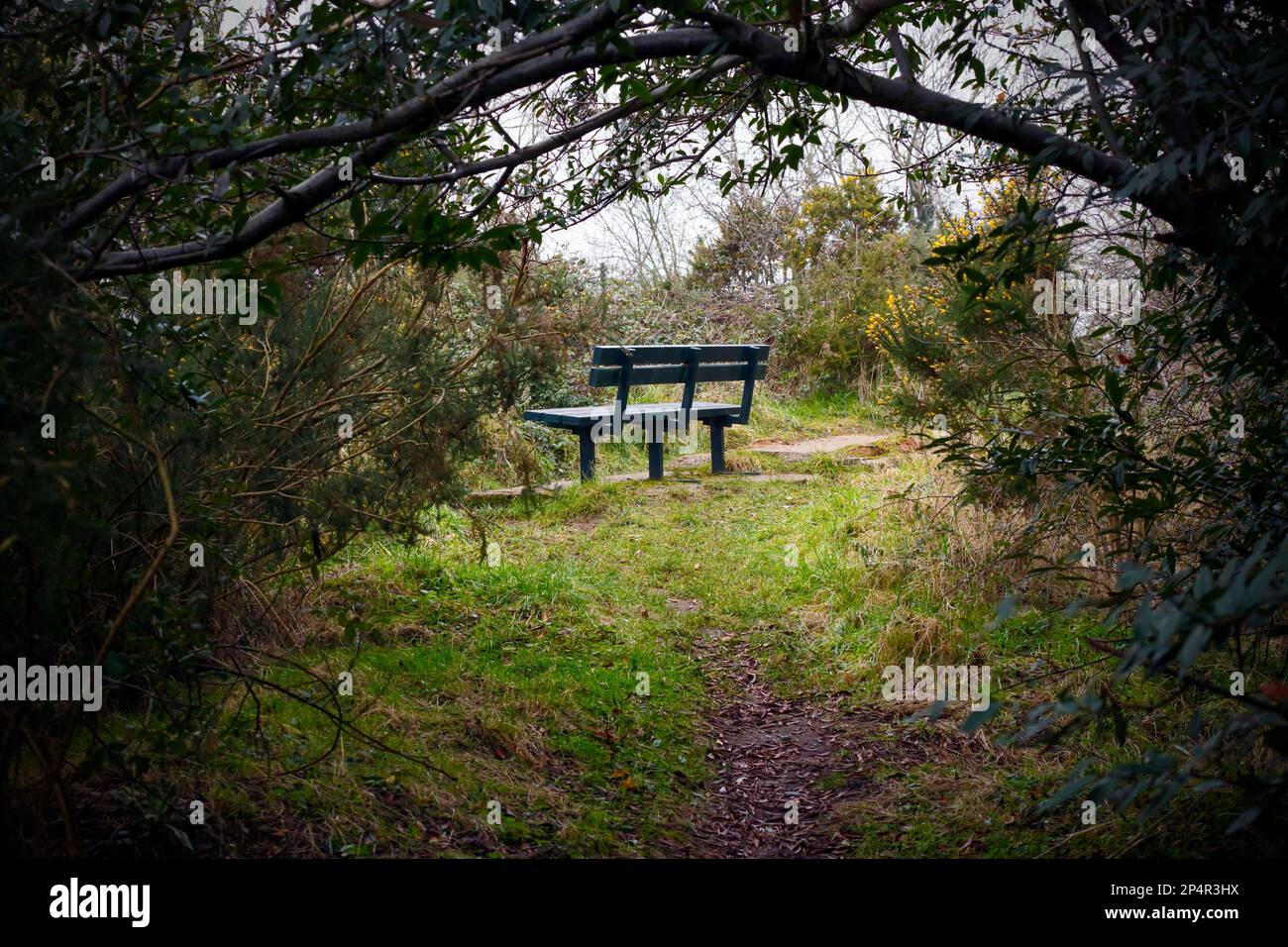Hidden bench hi-res stock photography and images - Alamy