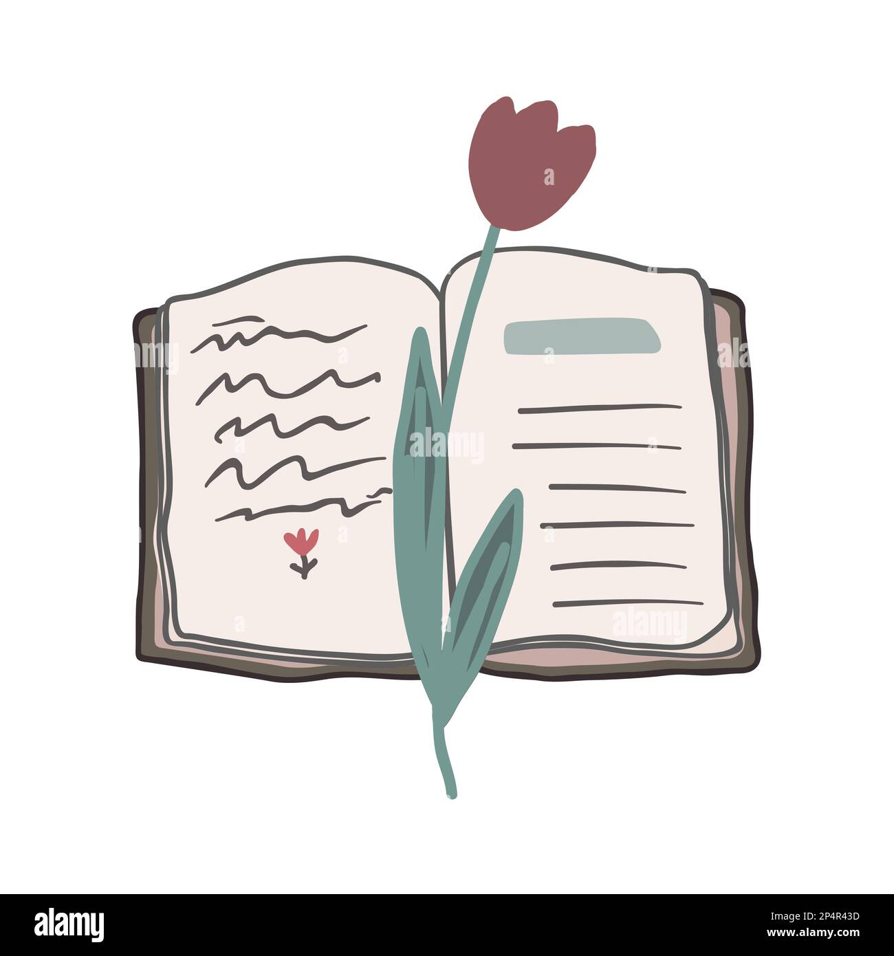 Old vintage book or diary and a red tulip flower isolated on white ...