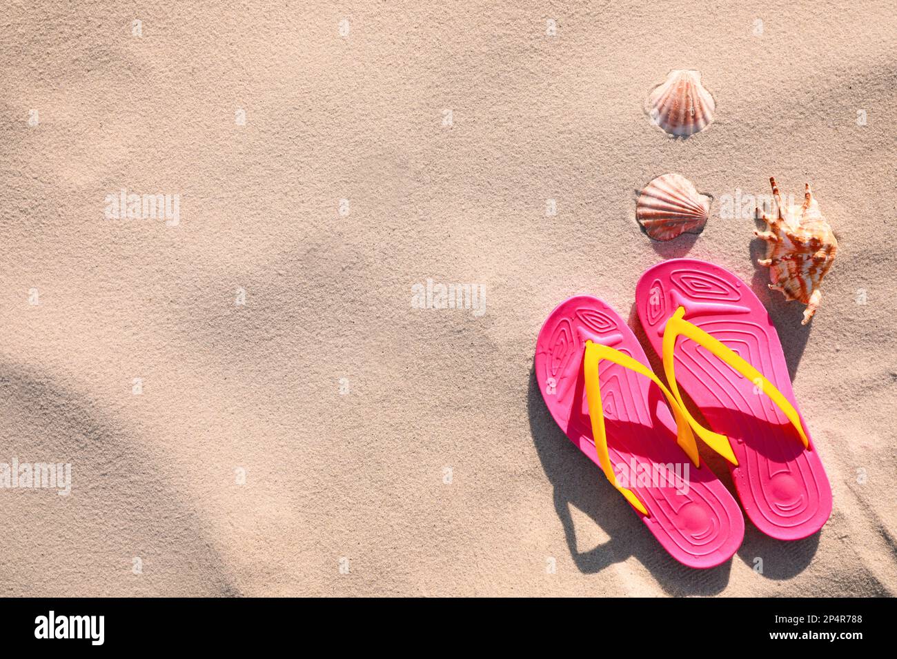 Stylish flip flops and sea shells on beach, flat lay. Space for text ...