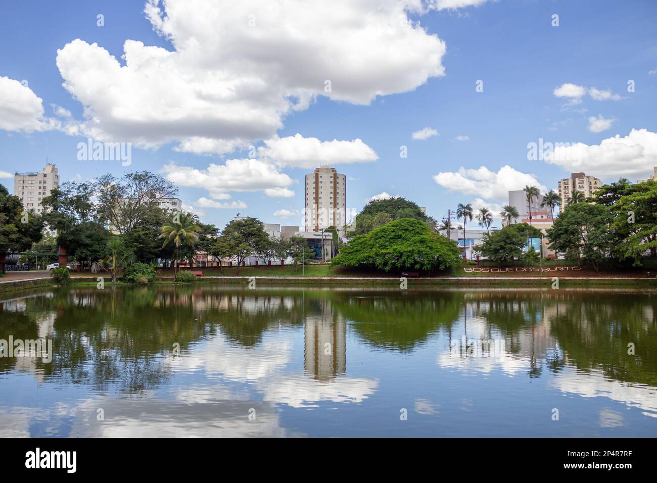 Bosque dos buritis hi-res stock photography and images - Alamy