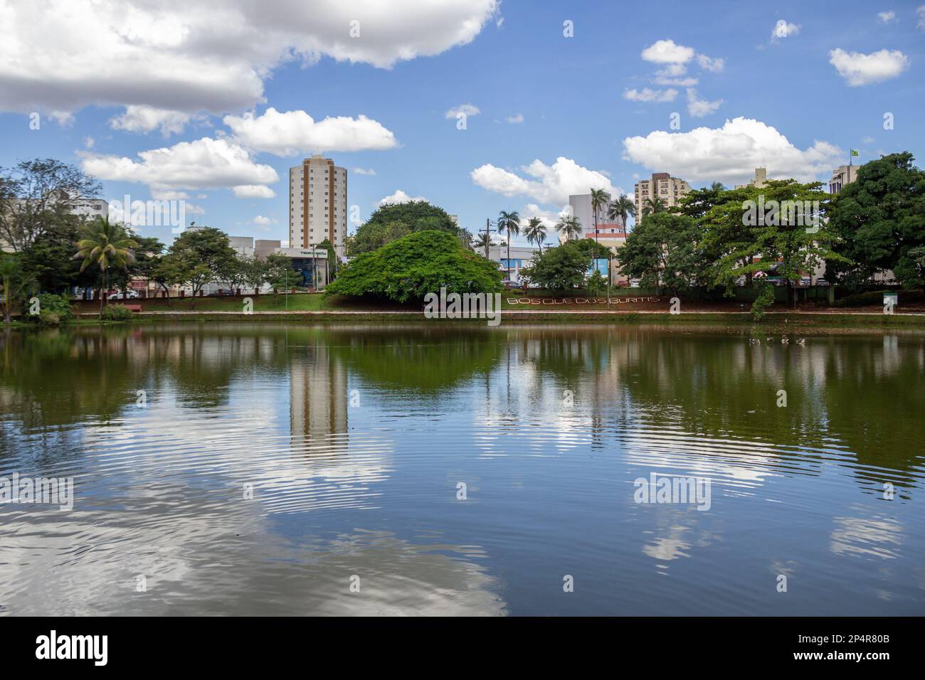 Bosque dos buritis hi-res stock photography and images - Alamy