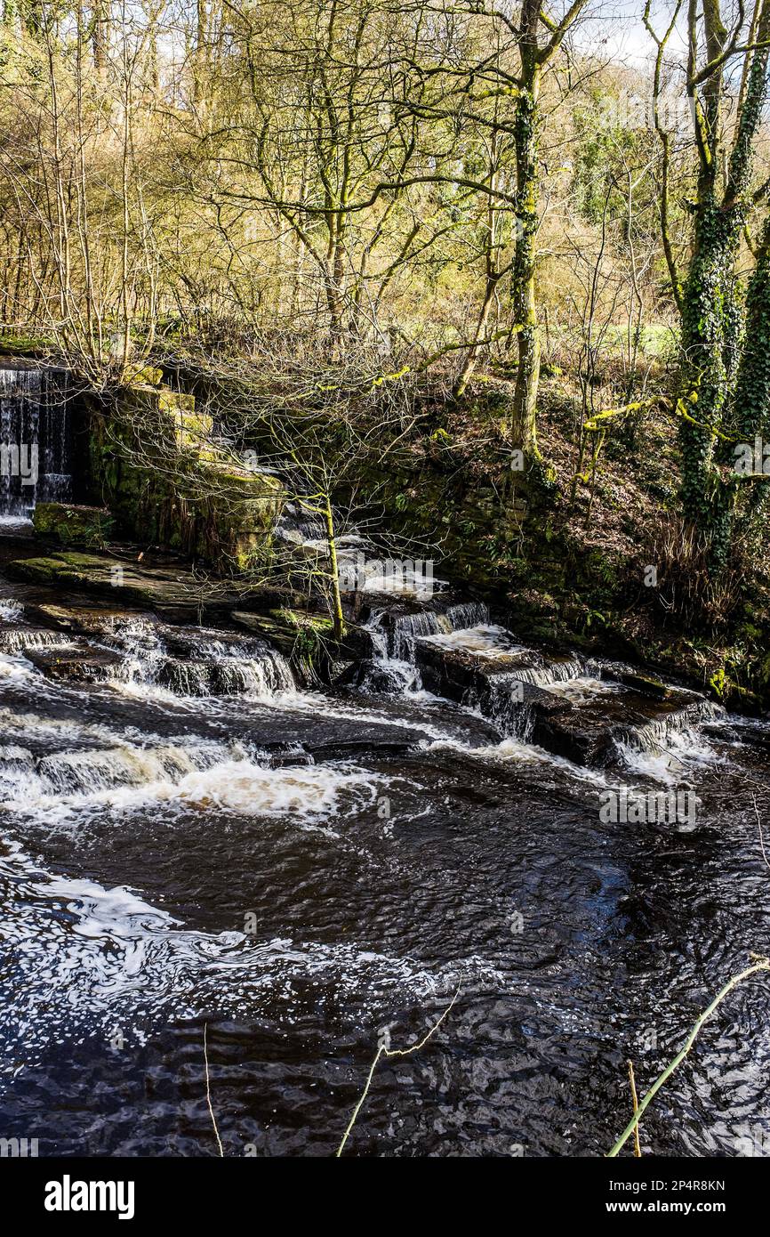 Birkacre Weir Fish Pass is on the River Yarrow in the Yarrow Valley ...