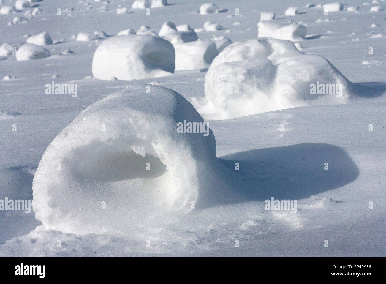 Snow rollers dot a field near Oil City, Pa., Monday, Jan. 27, 2014 ...
