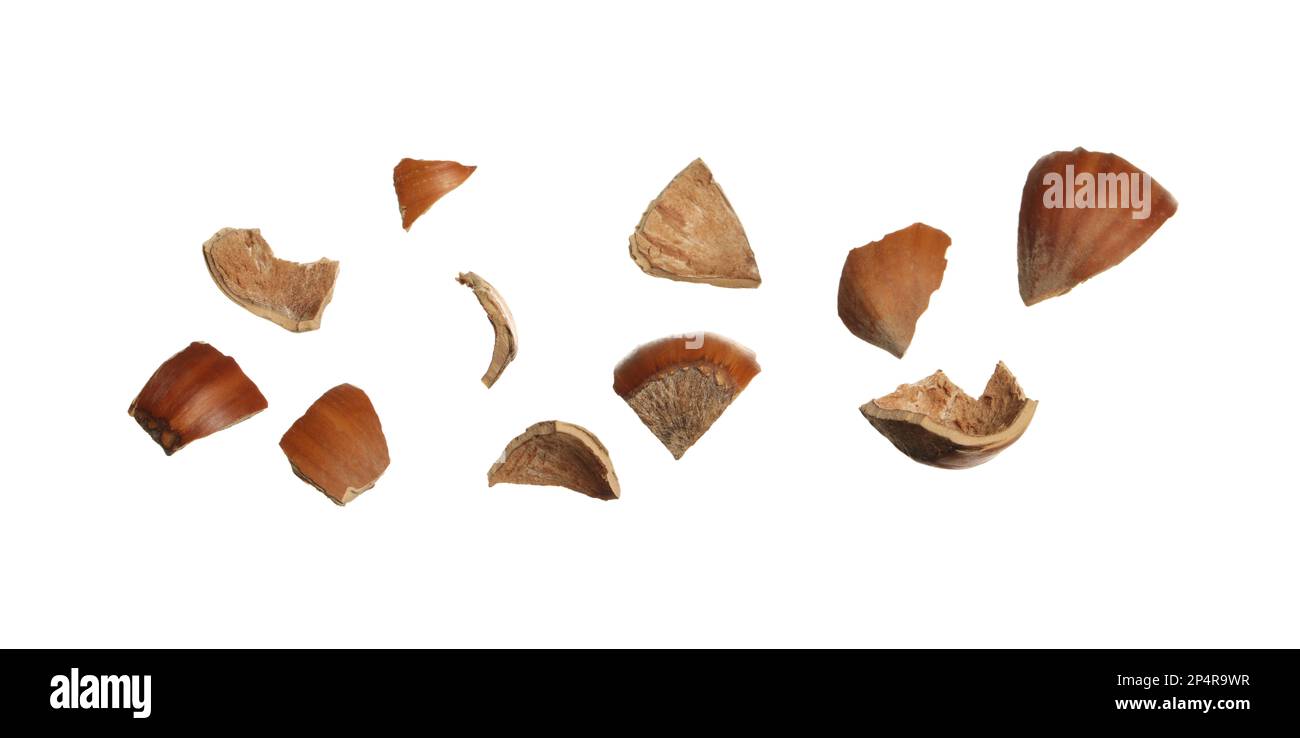 Pieces of hazelnut shell on white background Stock Photo - Alamy