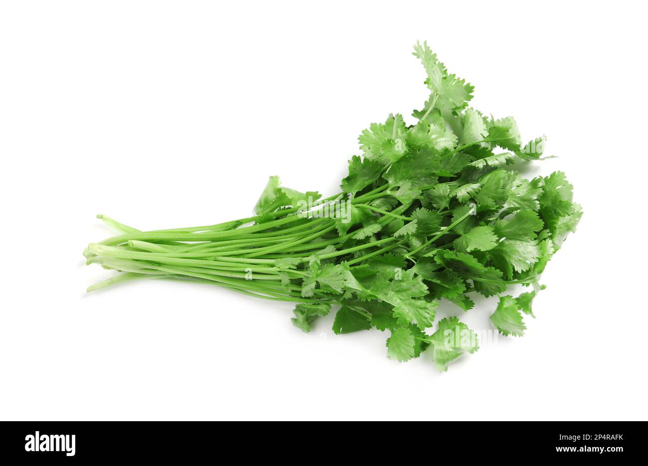 Bunch of fresh coriander on white background Stock Photo - Alamy