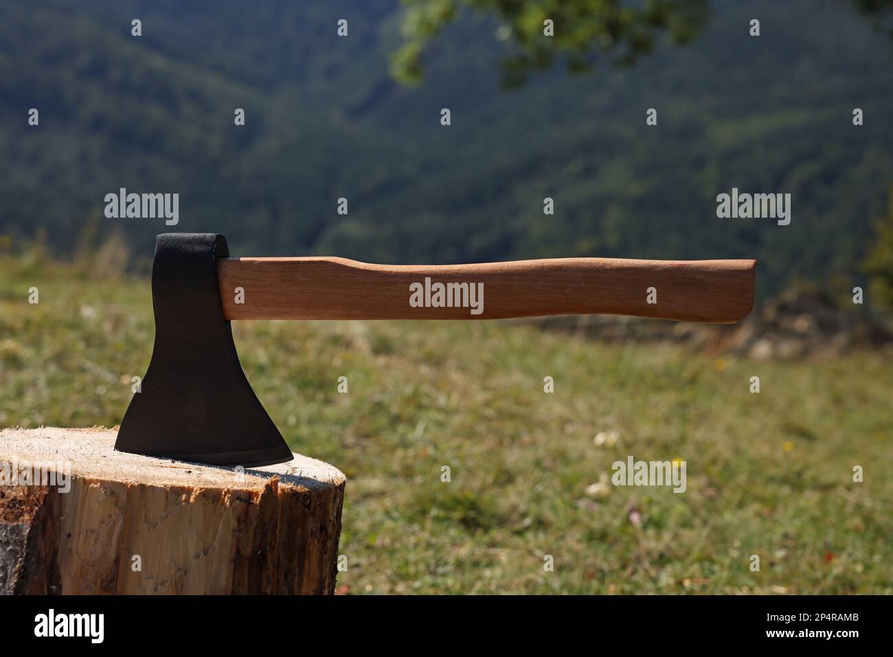 Professional warmth hi-res stock photography and images - Alamy