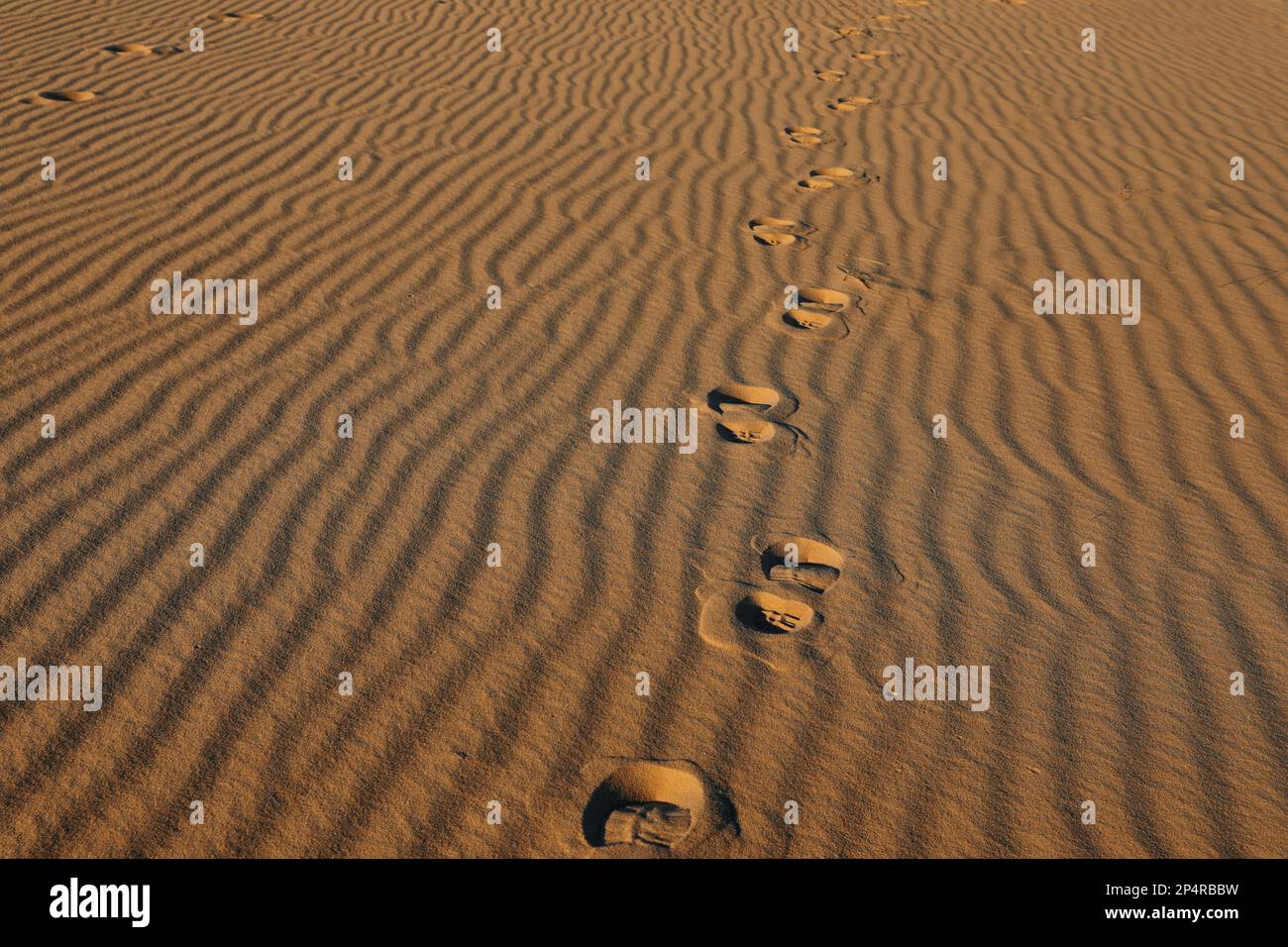 Trail of footprints on sand in desert Stock Photo - Alamy
