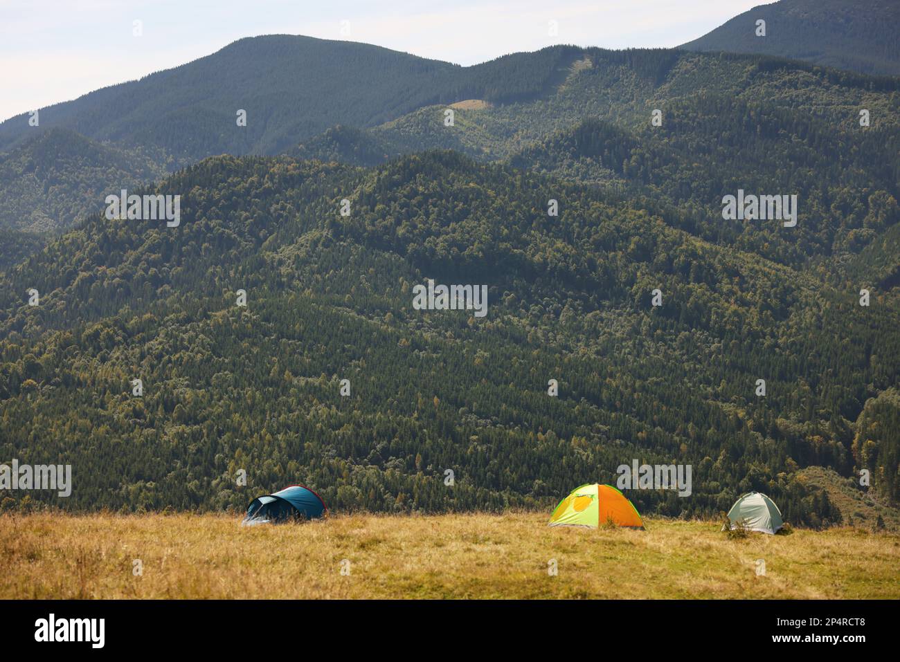 Group camping trip tents hi-res stock photography and images - Alamy