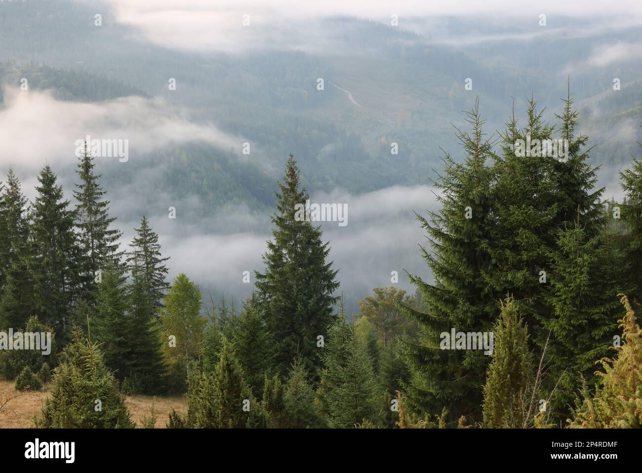Fog patches about the scenery hi-res stock photography and images - Alamy